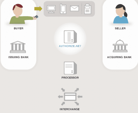 Stripe vs Authorize.net: Which is the Better Payment Solution?