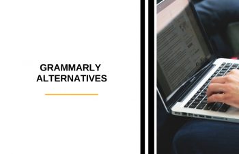 7 Best Grammarly Alternatives: Grammarly Competitors - The Digital Merchant