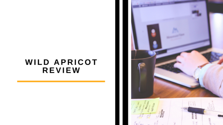 Wild Apricot Review and Guide: Do You Really Need It?
