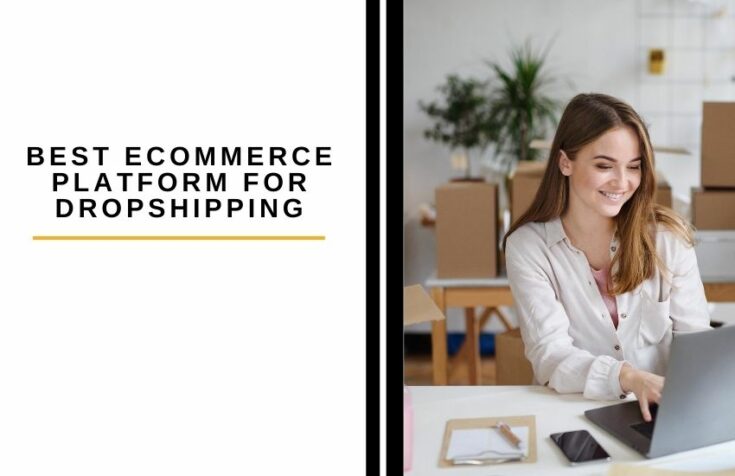 Top 7 Best eCommerce Platform for Easy Dropshipping - The Digital Merchant