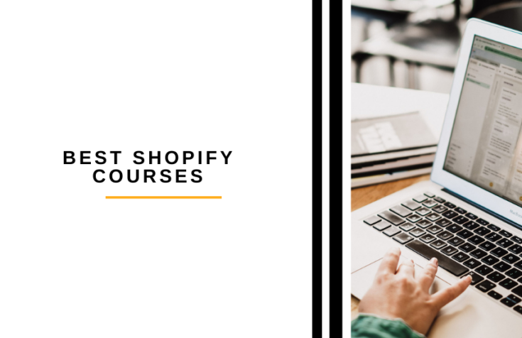 The 7 Best Shopify Courses - The Digital Merchant
