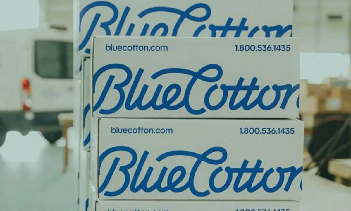 RushOrderTees vs. BlueCotton: Which Should You Choose? - The Digital ...